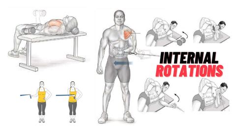 Meet The Subscapularis The Largest And Most Powerful Muscle Of The Rotator Cuff • Bodybuilding Wizard