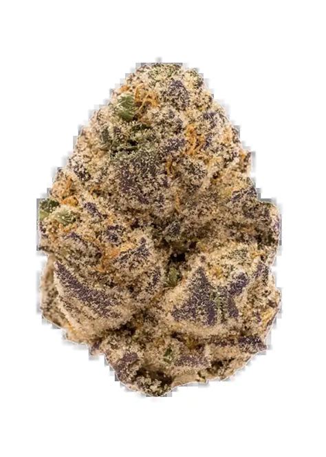 Blue Lobster Cannabis Strain Information Growdiaries