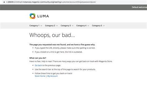 Reset Password Throw 404 Cmsnorouteindex · Issue 28909 · Magento