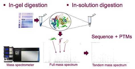 Nordic Preclinical Sciences Proteomics Analysis
