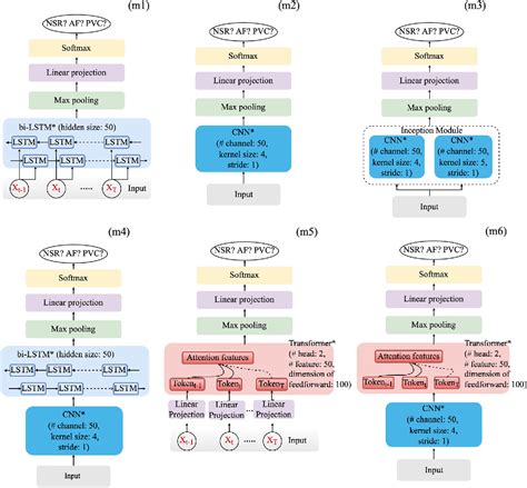Figure 1 From A Training Pipeline Of An Arrhythmia Classifier For Atrial Fibrillation Detection