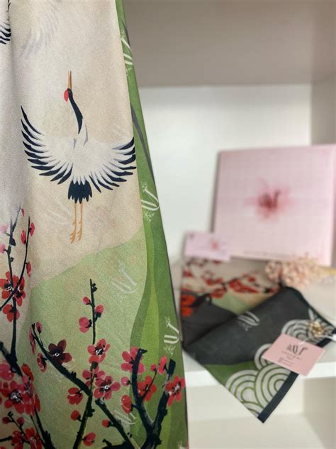 Pashmina Bango Placement