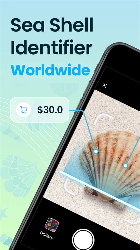 Sea Shell Identifier Guide For Iphone Download