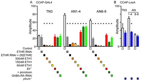 Figures And Data In Stereotyped Responses Of Drosophila Peptidergic Neuronal Ensemble Depend On