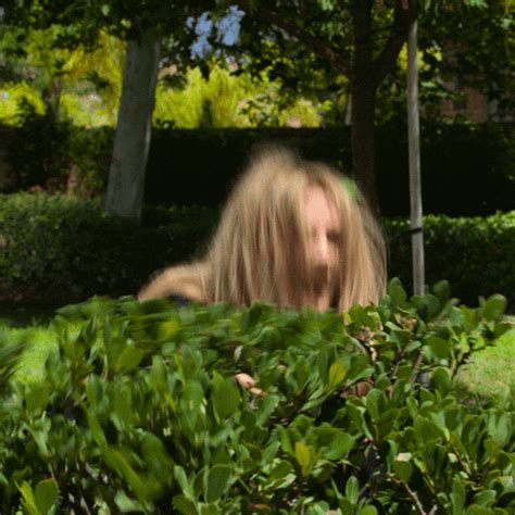 Hiding In The Bushes 