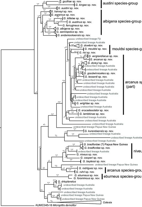 Maximum Likelihood Phylogeny Constructed Using Iq Tree Ver 1612 Of A Download Scientific