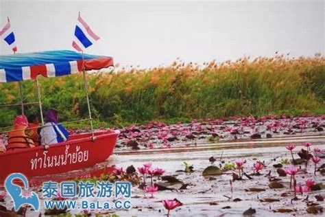 泰国乌隆红莲湖 最美泰国乡村秘境 2 巴拉排行榜