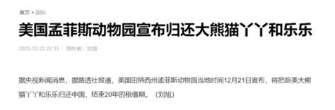 美国动物园将归还大熊猫丫丫和乐乐 网友爆料称丫丫瘦骨嶙峋 军事频道 中华网