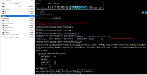 tdn复现（ucf101 只用了十个类别） c3d与tdn csdn博客