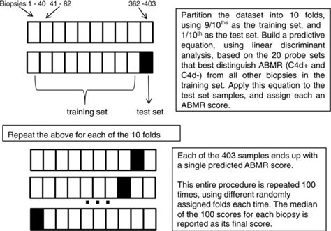 Diagram Of The Multiple 10 Fold Cross Validation Procedure Showing A Download Scientific