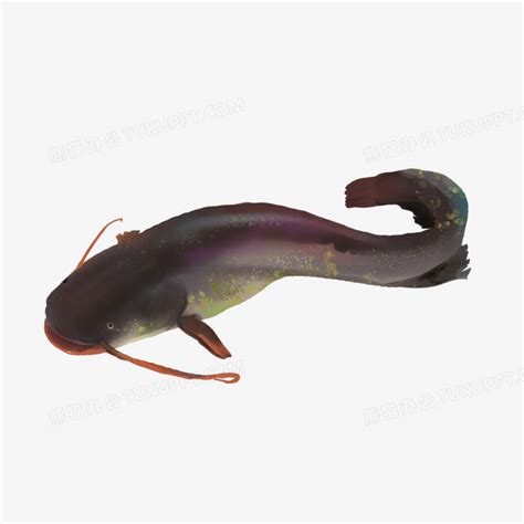 Png Png