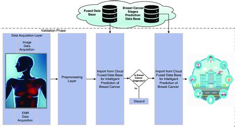 Proposed Cf Bcp Validation Model Download Scientific Diagram