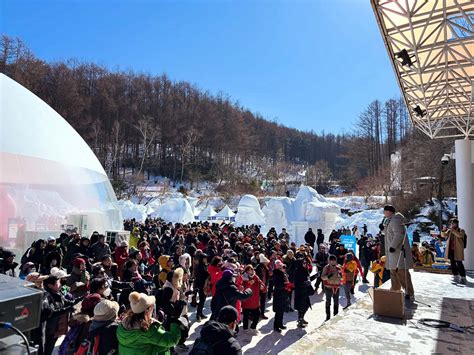 태백페스티벌 ️2025 태백 겨울 축제제 32회 태백산 눈축제 눈으로 덮힌 태백산 🌨️🌨️ 눈조각과 함께하는 태백 겨울 축제 🌬️🌬️ Instagram