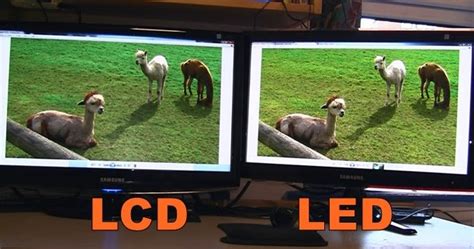 HELPMAHITI What Is The Difference Between LCD And LED Which Is Much Better