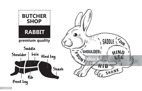 토끼의 커트 식료품 고기 매장 정육점 정육점 다이어그램 포스터 농부 시장 토끼 실루엣입니다 벡터 일러스트입니다 가금류에 대한 스톡 벡터 아트 및 기타 이미지 Istock