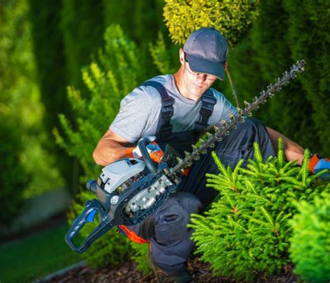 Tree Service St Louis MO 1 Local Tree Removal Company