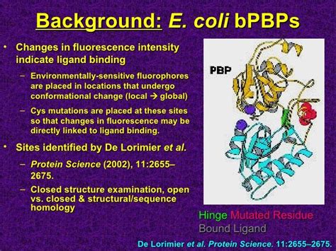 Bacterial Periplasmic Binding Proteins As Biosensors In Liposomes
