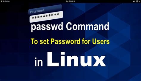 Mastering User Passwords A Complete Guide To Using The Passwd Command