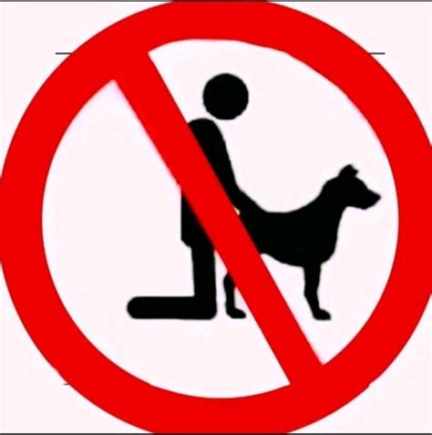 تابلوهای علایم راهنمایی،رانندگی گایندگی🤣🤣