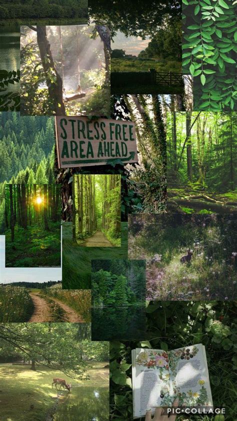 🔥 30 Nature Collage Wallpapers Wallpapersafari