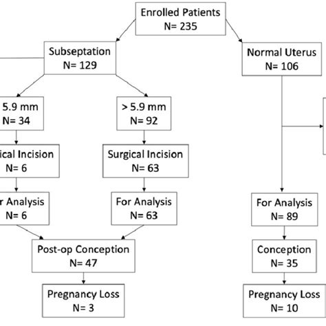 Flow Diagram Of The Study Participants And Their Reproductive Outcomes Download Scientific