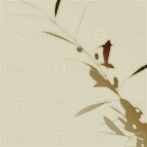 3d Rendering Shadow Overlay Effect Greenery Mock Up 24791464 Stock