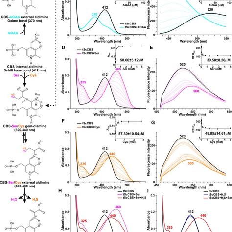 CBS Reaction Intermediates And UVVis Absorption And Fluorescence Download Scientific Diagram