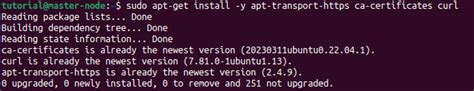 How To Install Kubernetes On Ubuntu Cherry Servers
