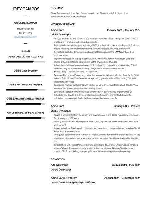 Obiee Developer Resume Examples And Templates
