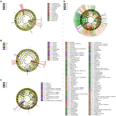 Analysis Of The Effect Of Biochar Addition On Soil Microbial