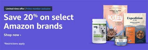 Things You Need To Know About Cat Penis I Love My Sweet Cats