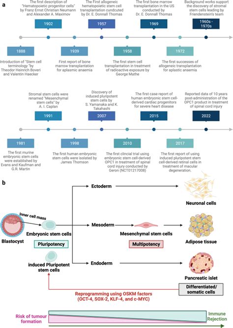 基于干细胞的人类疾病疗法 Signal Transduction And Targeted Therapy X Mol