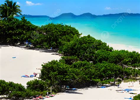 People Are Having Fun On The Beach In Summer Background Nature Beach