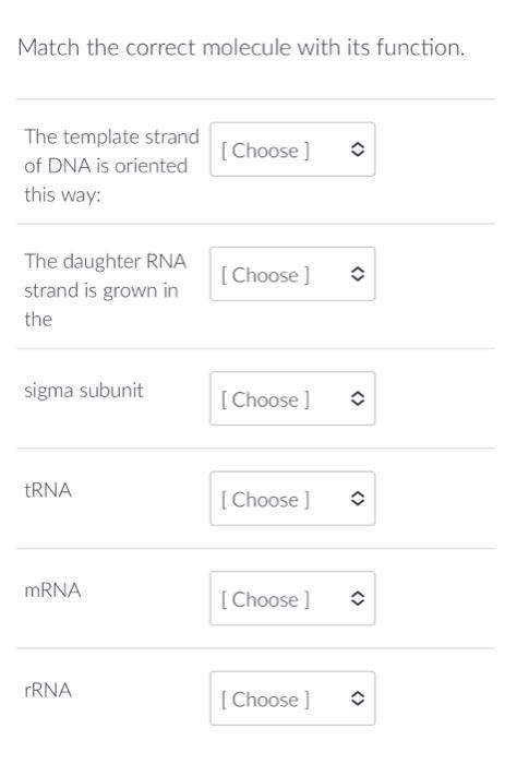 Solved Match The Correct Molecule With Its Function The Chegg Com