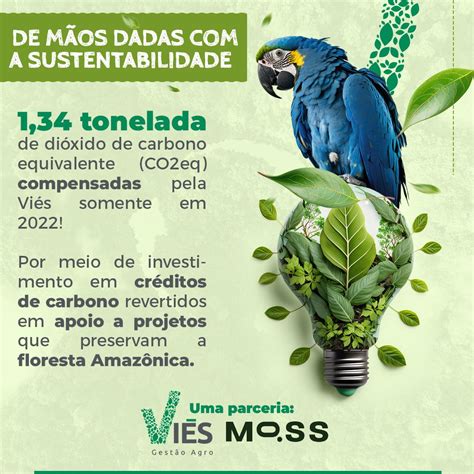 Paulo Sarracini On Linkedin Dvpwdt5n