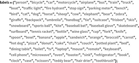 Ssd Mobilenet V2 Wolfram Neural Net Repository