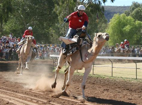 Camel Quarkus 1 0 0 Released Apache Camel