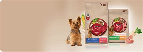 Официальный сайт Purina ONE® для собак: корма, советы о питании, уходе ...