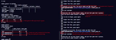 Number Guessing Game Build A Number Guessing Game Relational Database