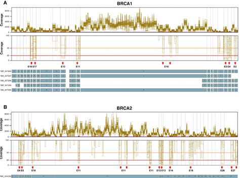 Coverage Plots Of Ngs Sequencing Coverage Values Of 88 Samples Were
