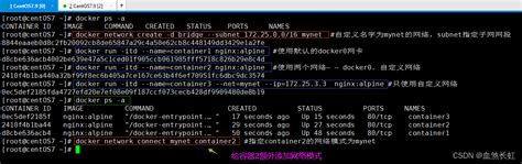 Docker学习：容器五种 3 2 网络模式 Bridge模式 Host模式 None模式 Container 模式 自定义网络模式详解 Csdn博客