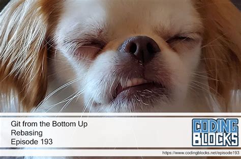 Git From The Bottom Up Rebasing Coding Blocks Iheart