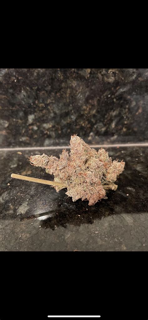 Unknown Strain Any Guesses R Macrogrowery