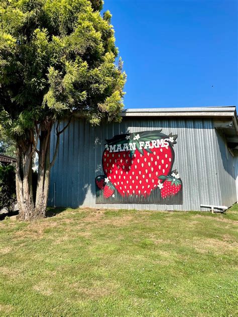 Maan Farms Fraser Valley Farm A Must Hit For Foodies And Wine Lovers