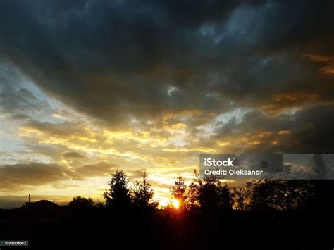 나무와 오렌지 석양의 배경에 대 한 사촌의 어두운 실루엣 낭만적인 분위기를 자연 주름 저녁 따뜻한 색상입니다 유럽 대륙의 온대 기후 지역 0명에 대한 스톡 사진 및 기타