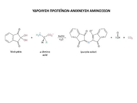 Ppt ΒΙΟΜΟΡΙΑ Α ΠΡΩΤΕΪΝΕΣ ΔΟΜΙΚΗ ΜΟΝΑΔΑ ΑΜΙΝΟΞΕΑ Powerpoint Presentation Id 1331217