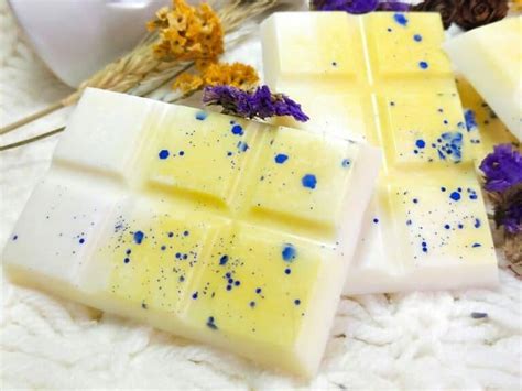 How To Use Wax Melts Wax Melts 101