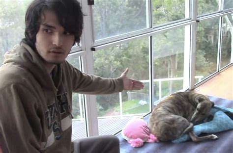 A Request From『the Anime Man』aka Joey Anime Amino