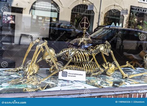 Two Human Skeletons Doing The 69 Sex Position Editorial Photo Image