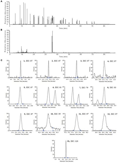 Total Ion Chromatography Of Mixed Standards A And Sample B And Eic Download Scientific